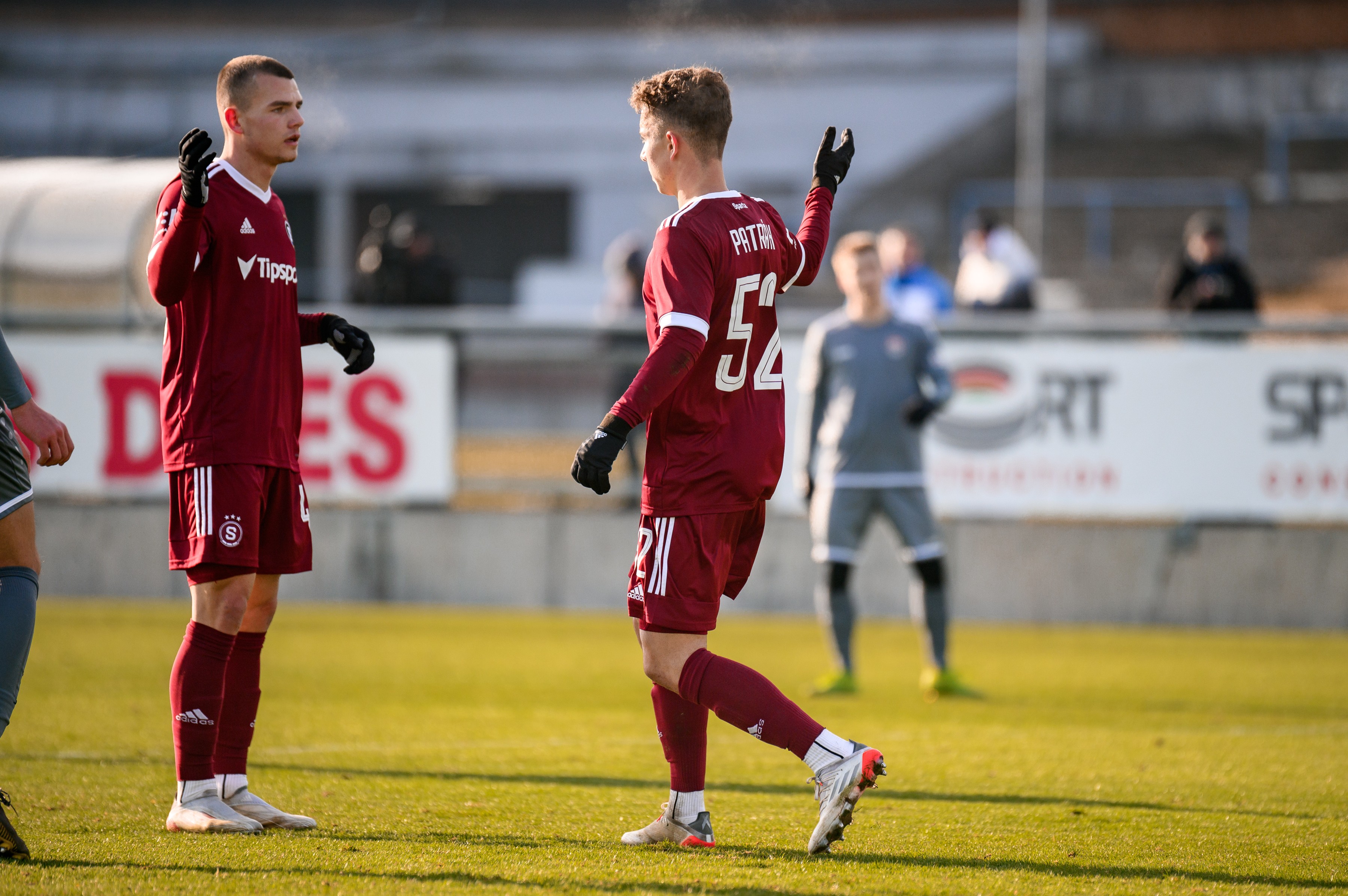 Patrák nastoupil proti Sejkovi s Fortelným | sparta.cz