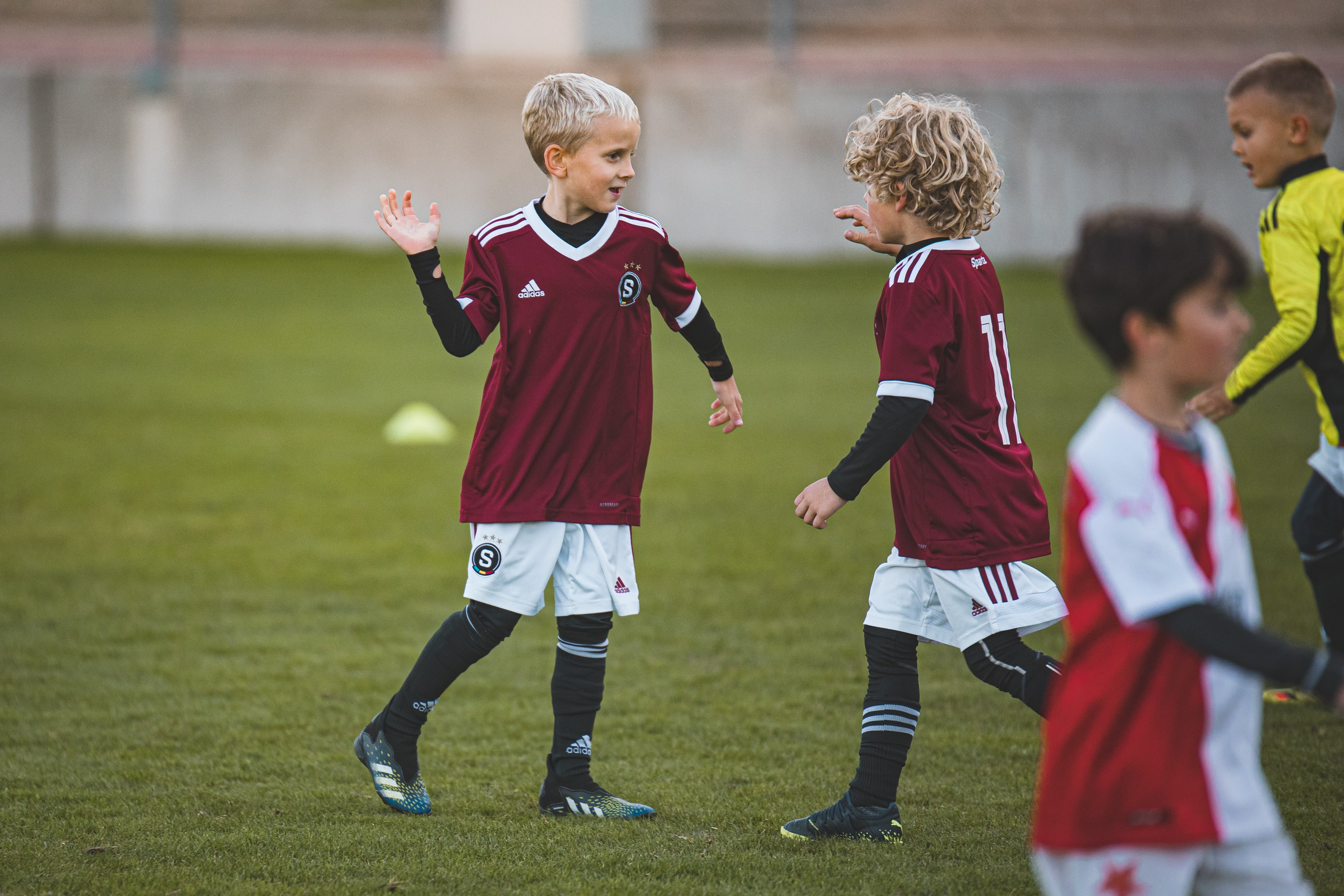 U7 a U8 startují domácí soutěže | sparta.cz