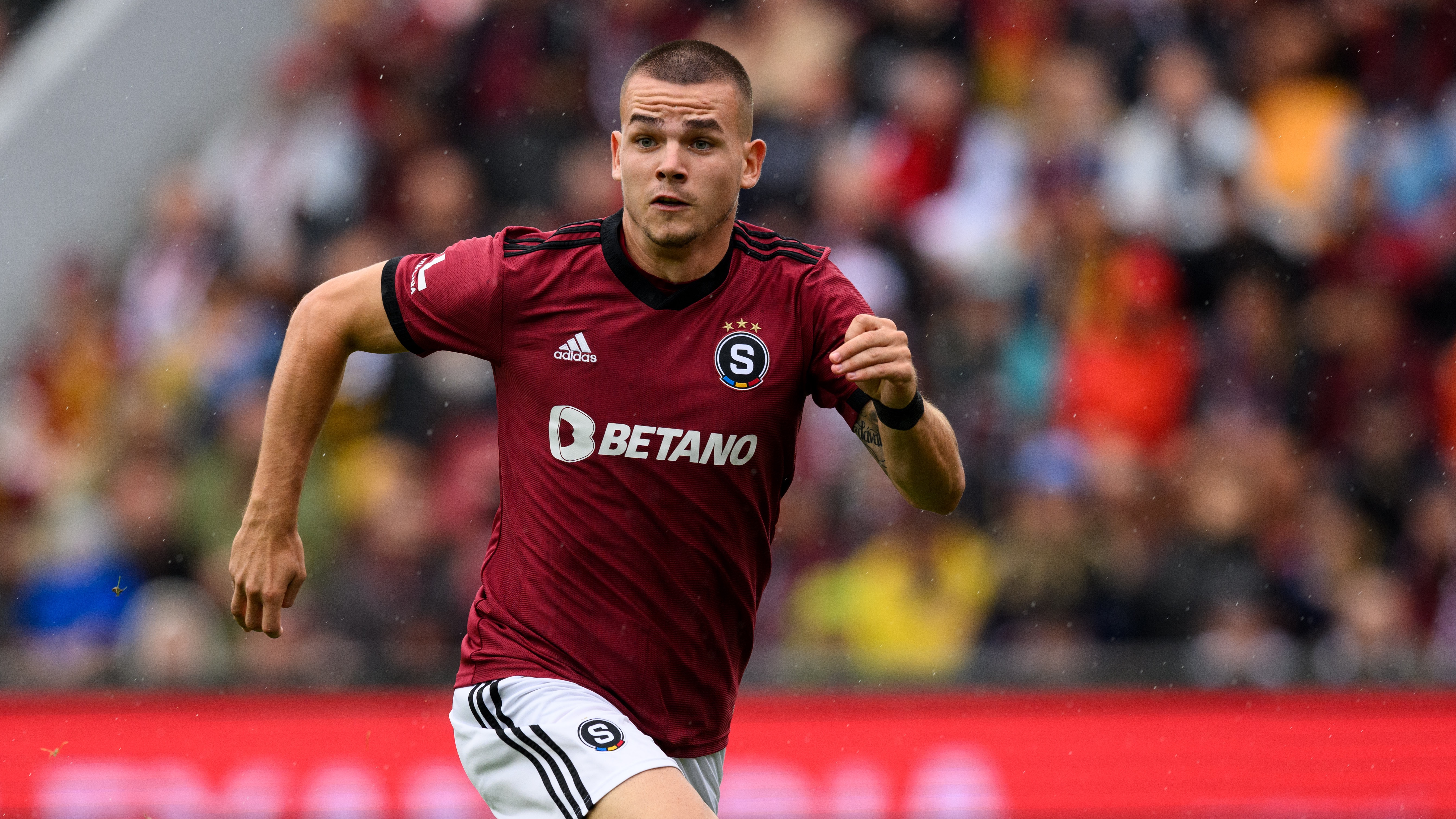 Sejk do Nizozemska | sparta.cz UNLIMITED.