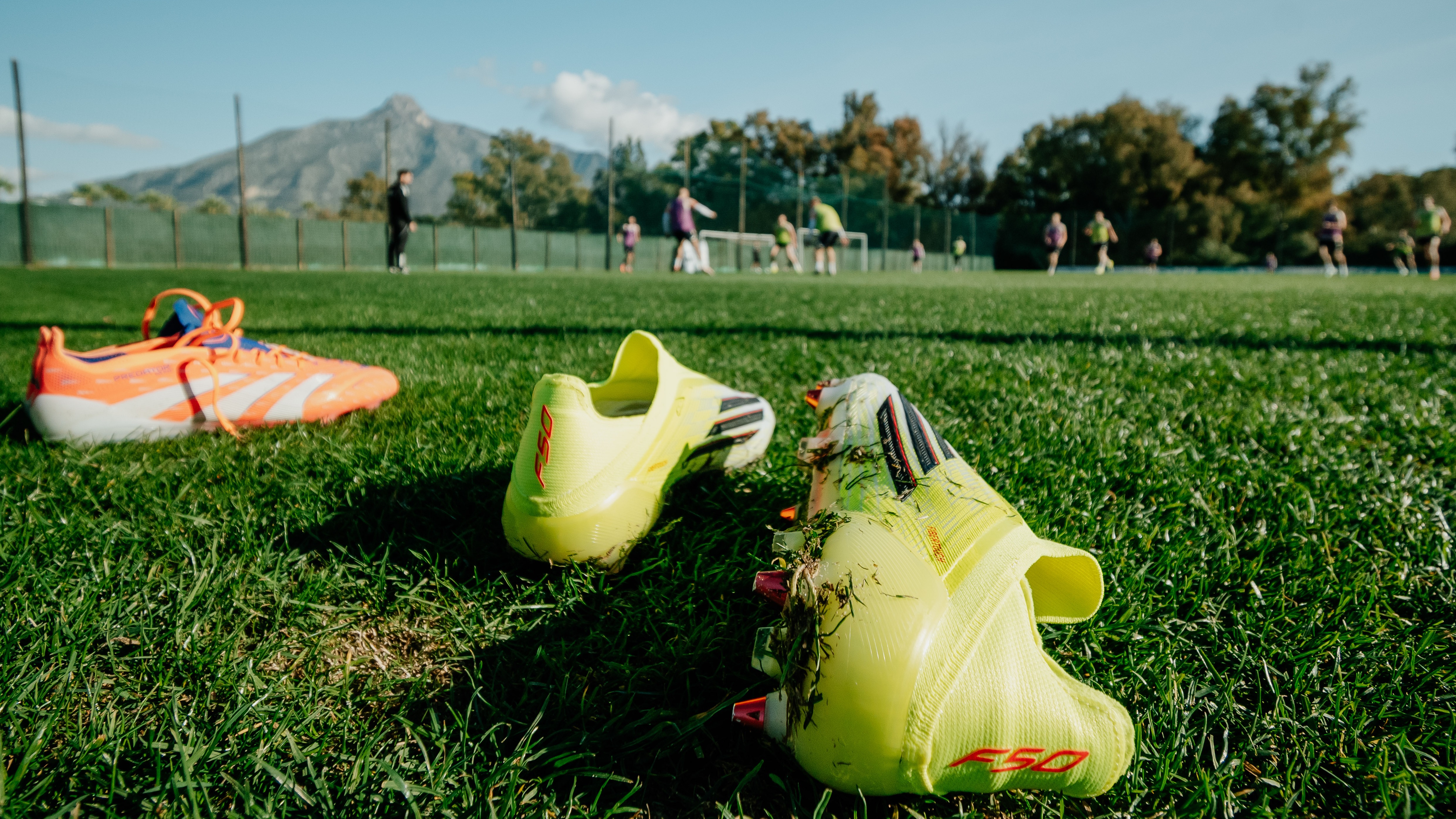 ŽIVĚ: Malmö - Sparta | sparta.cz